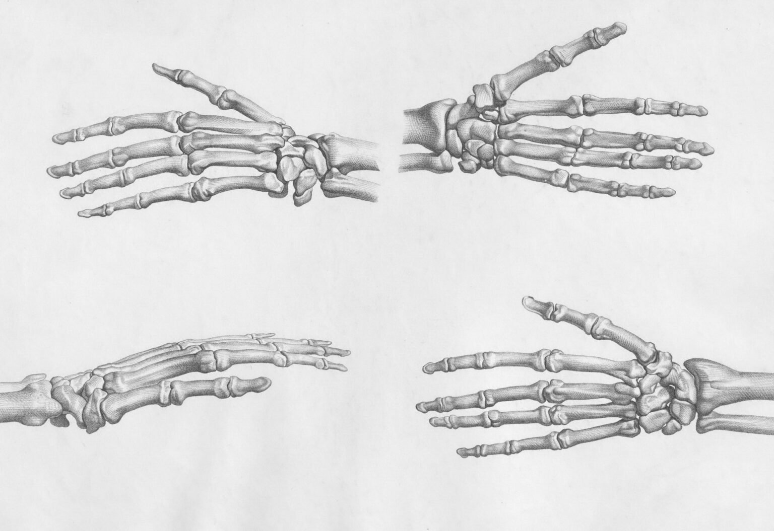 Draw an Expressive Hand | Capture Emotion Through Dynamic Gestures and ...